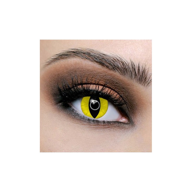 All Vue Crazy 2 sztuki